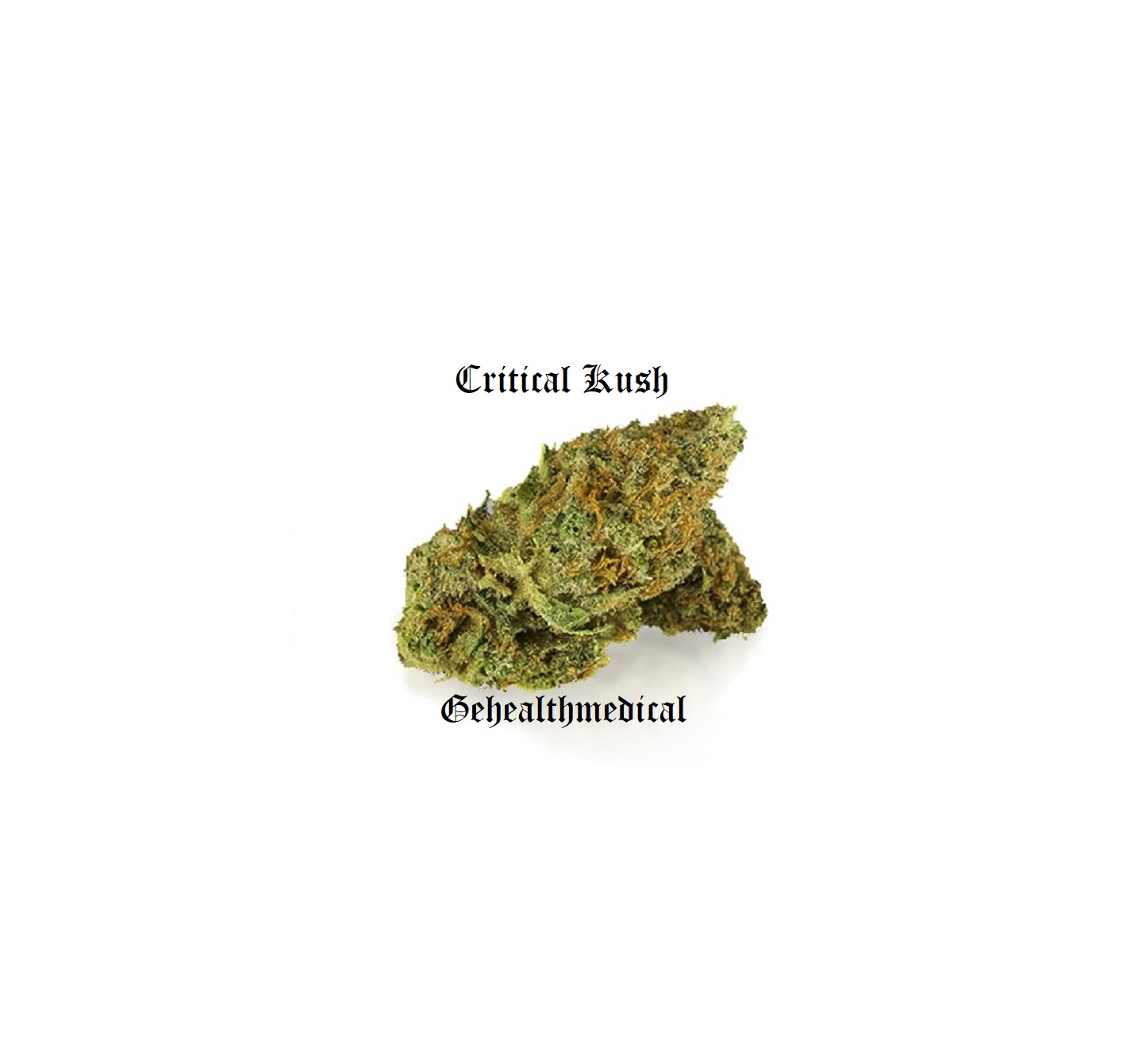 Critical Kush Marijuana Strain Information
