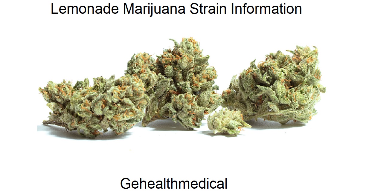 Lemonade Marijuana Strain Information